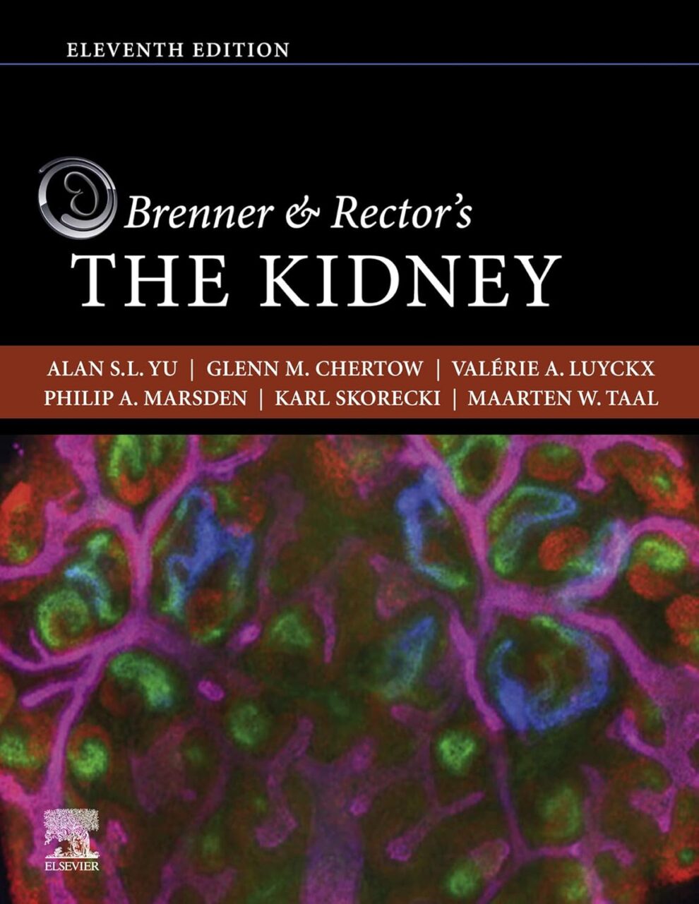 Brenner and Rector’s The Kidney, 2-Volume Set – Nephrology Books